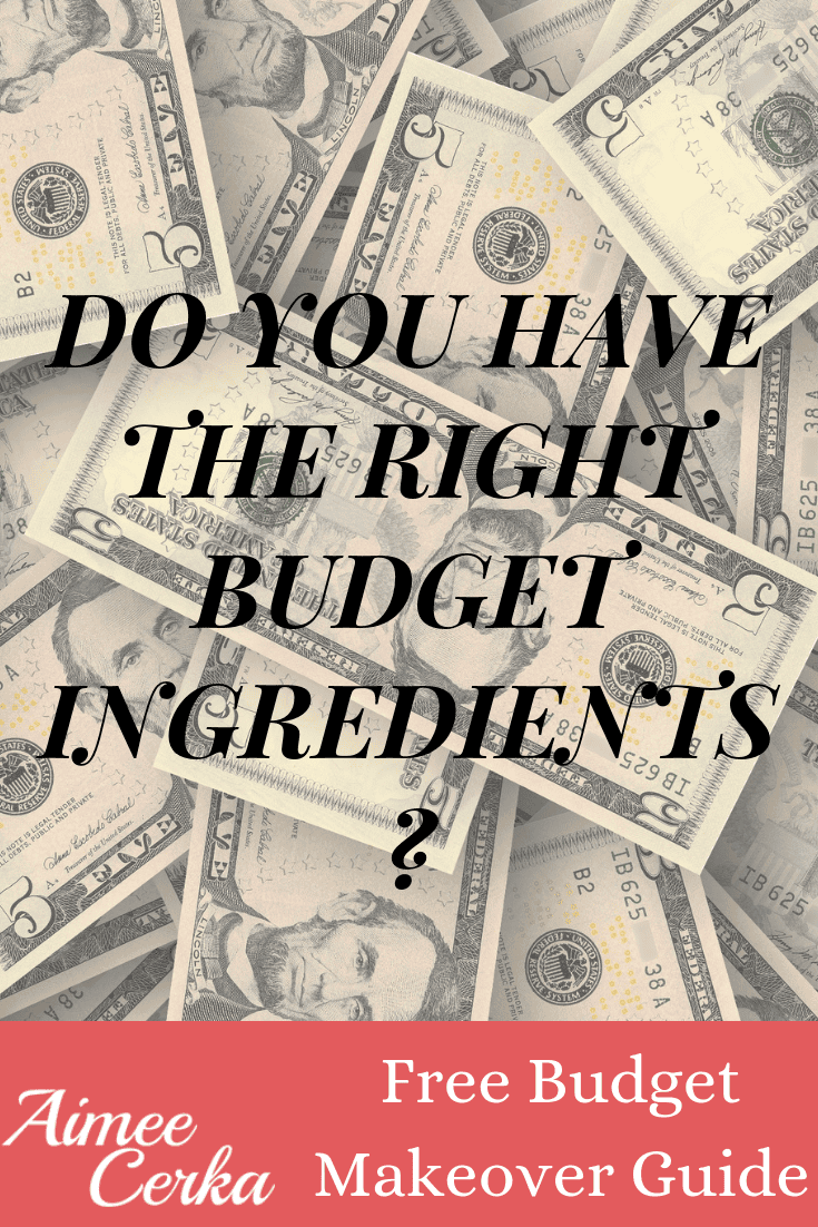Do You Have The Right Budget Ingredients?